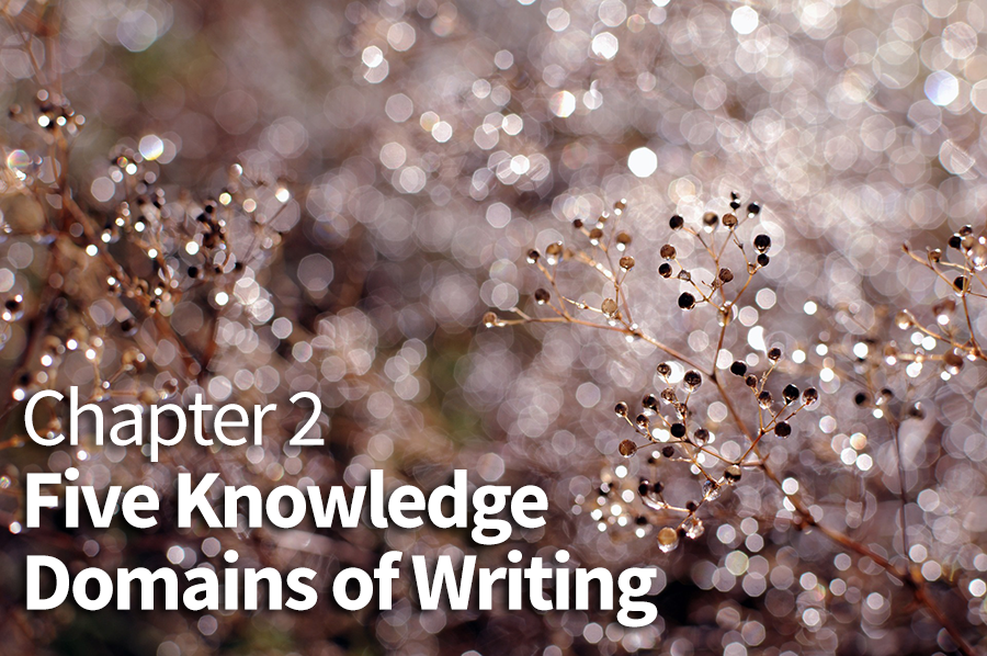 2.0 - Five Knowledge Domains of Writing | Chapter 2 | Writing in ...